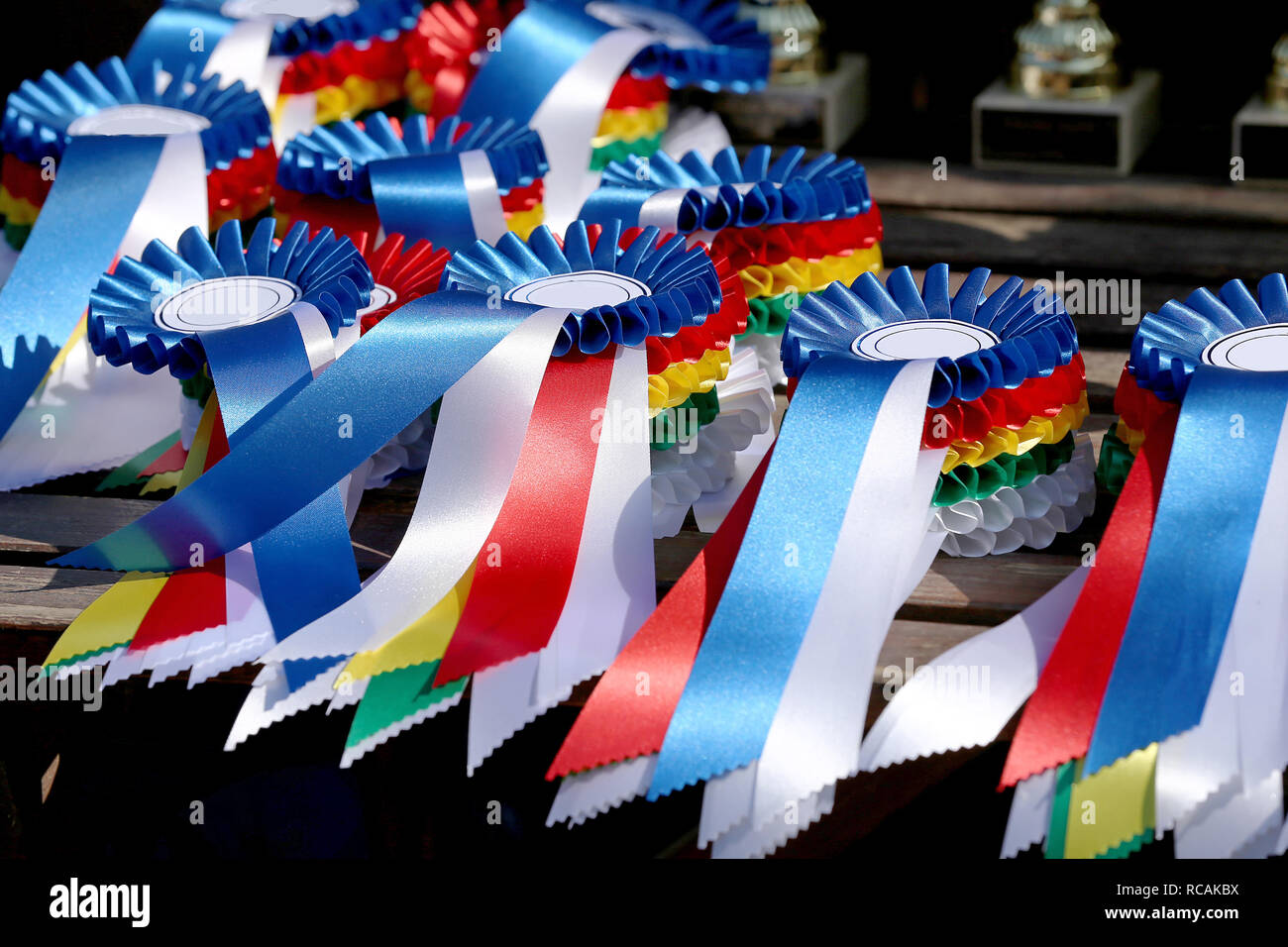 Group of horse riding equestrian sport trophys badges rosettes at ...