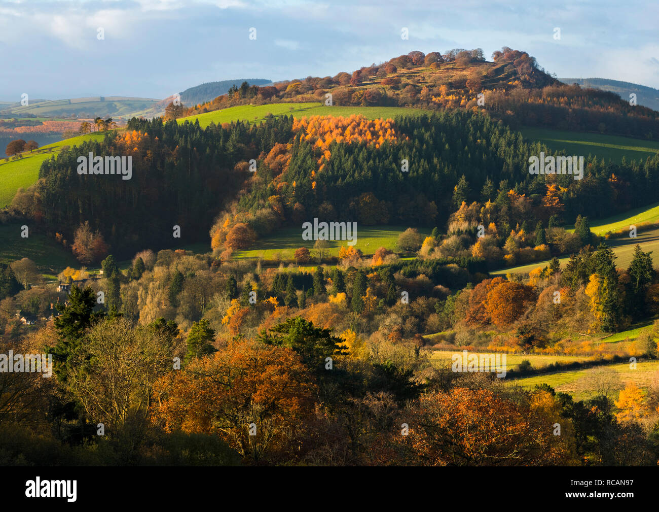 Burrow Hill Iron Age hill fort seen from Hopesay Common, near Craven ...
