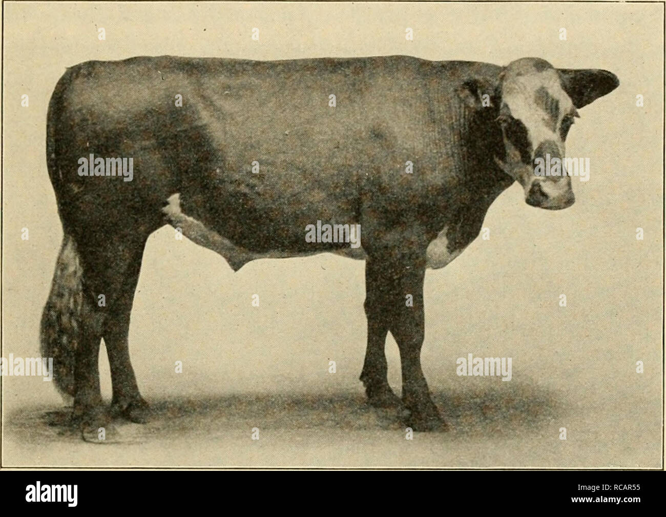 . Domesticated animals and plants; a brief treatise upon the origin and ...