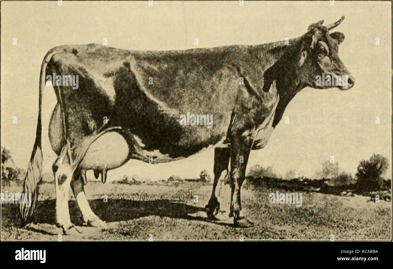 Inati hi-res stock photography and images - Alamy