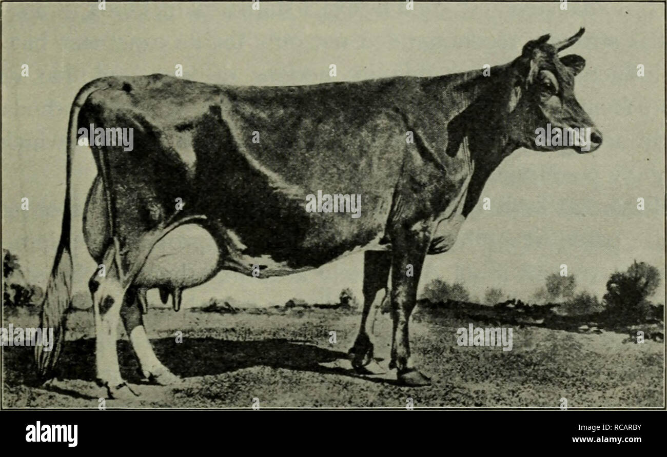 . Domesticated animals and plants; a brief treatise upon the origin and ...