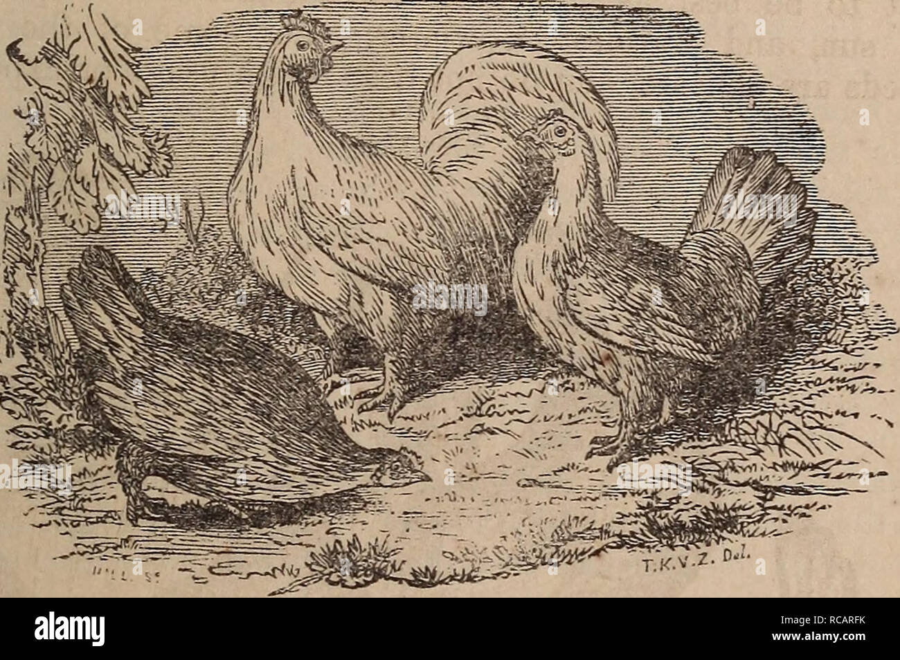 Barely dressed hi-res stock photography and images - Alamy