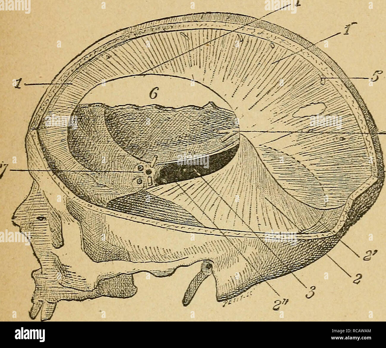 Colonne verticale hi-res stock photography and images - Alamy
