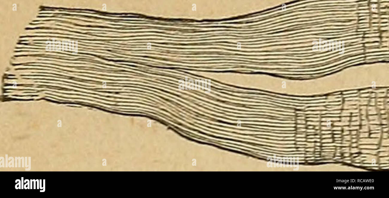 Fonctionnement du corps humain hi-res stock photography and images - Alamy