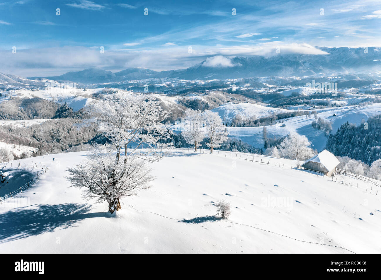 Romania Scenery Winter