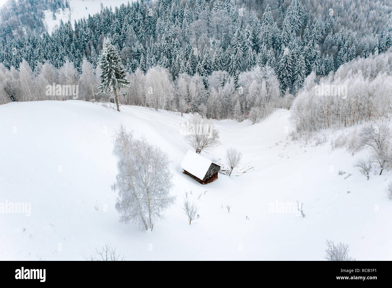 Romania Landscape Snow