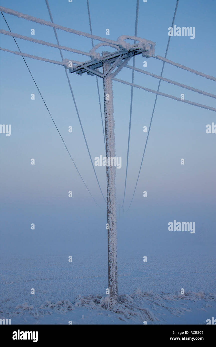 Winter Frost Saskatchewan Canada ice storm Power Lines Stock Photo - Alamy