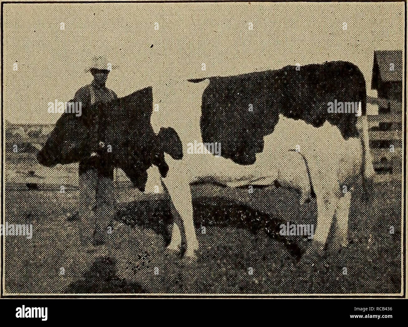 Rob galloway hi-res stock photography and images - Alamy