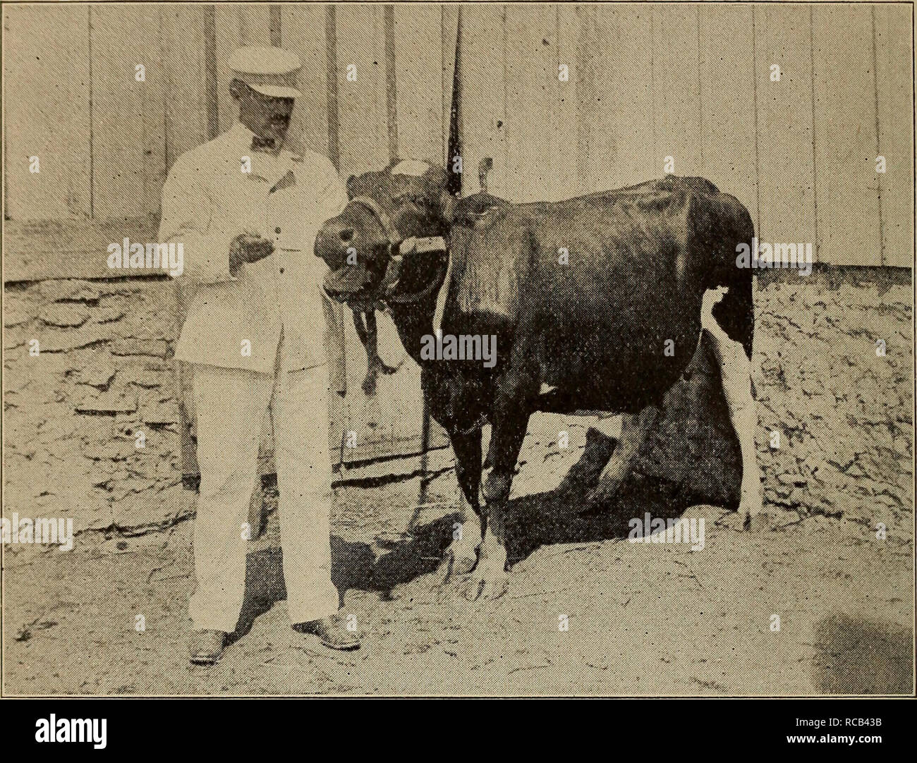 . Dr. David Roberts practical home veterinarian. Veterinary medicine ...