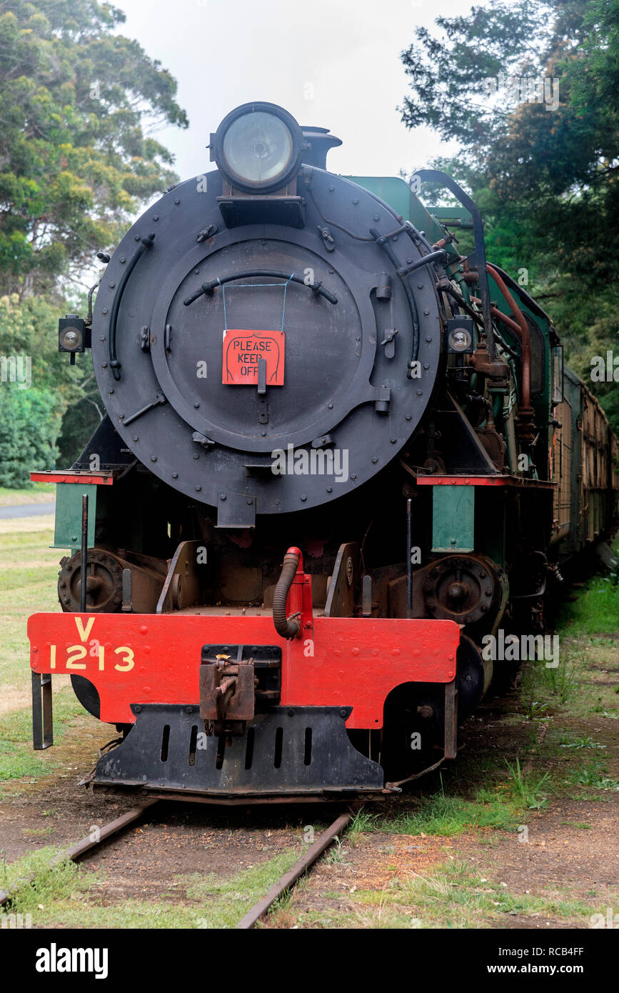 The V1213 heritage steam engine on the railway tracks at the Pemberton ...