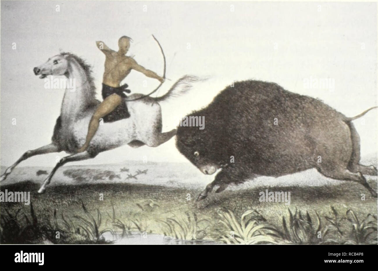 . Draft environmental impact statement for the interagency bison ...