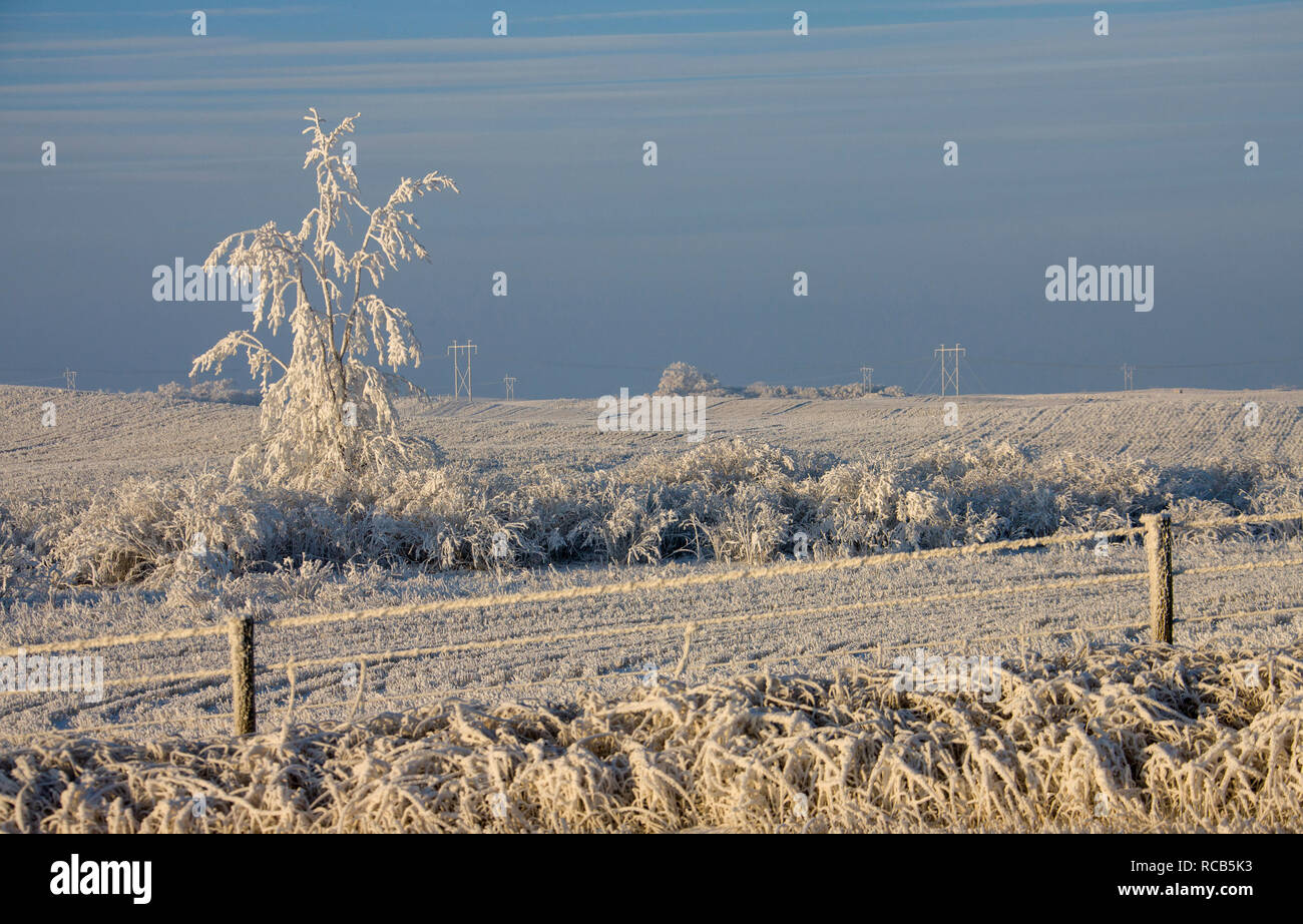 Winter Frost Saskatchewan Canada ice storm danger Stock Photo - Alamy