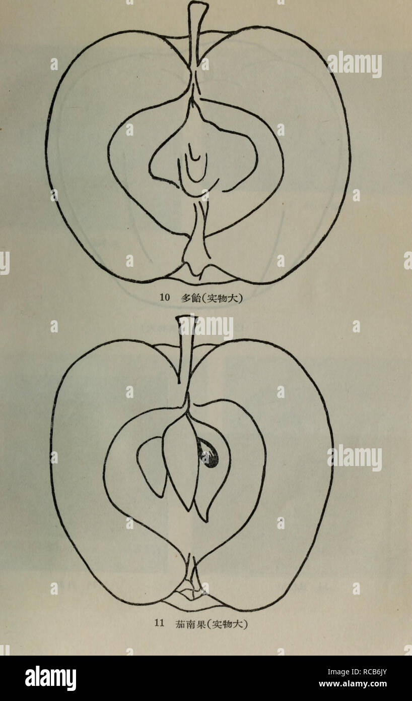 Yan ping chu hi-res stock photography and images - Alamy