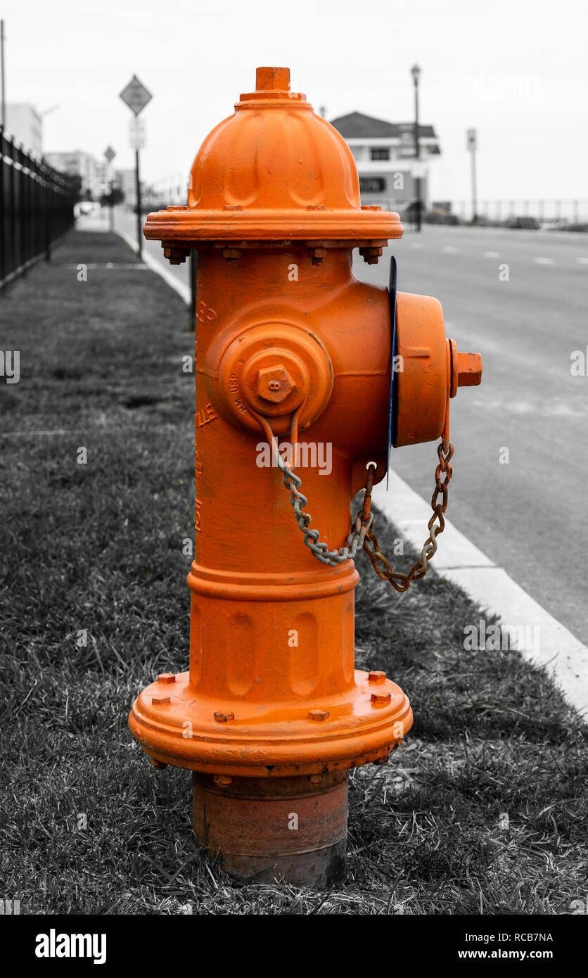 A photo an Orange Fire Hydrant picked out in colour on the coast road ...