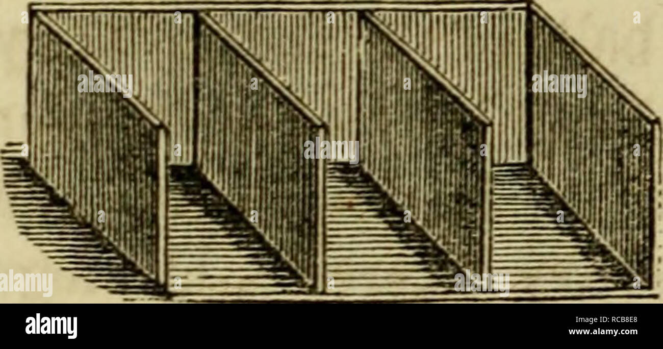 Walls leading to farm hi-res stock photography and images - Alamy