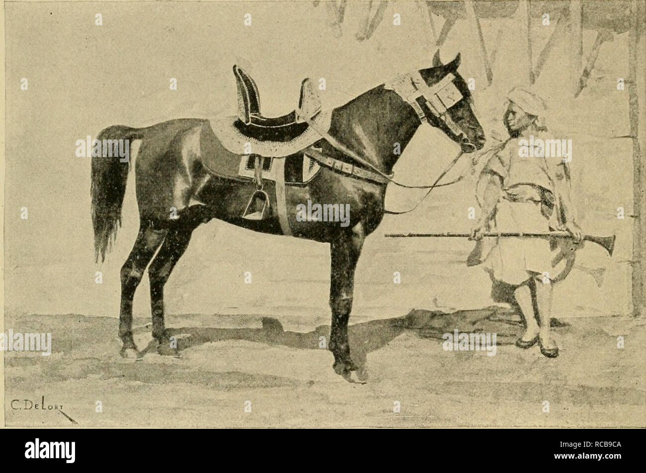 . Domesticated animals, their relation to man and to his advancement in ...