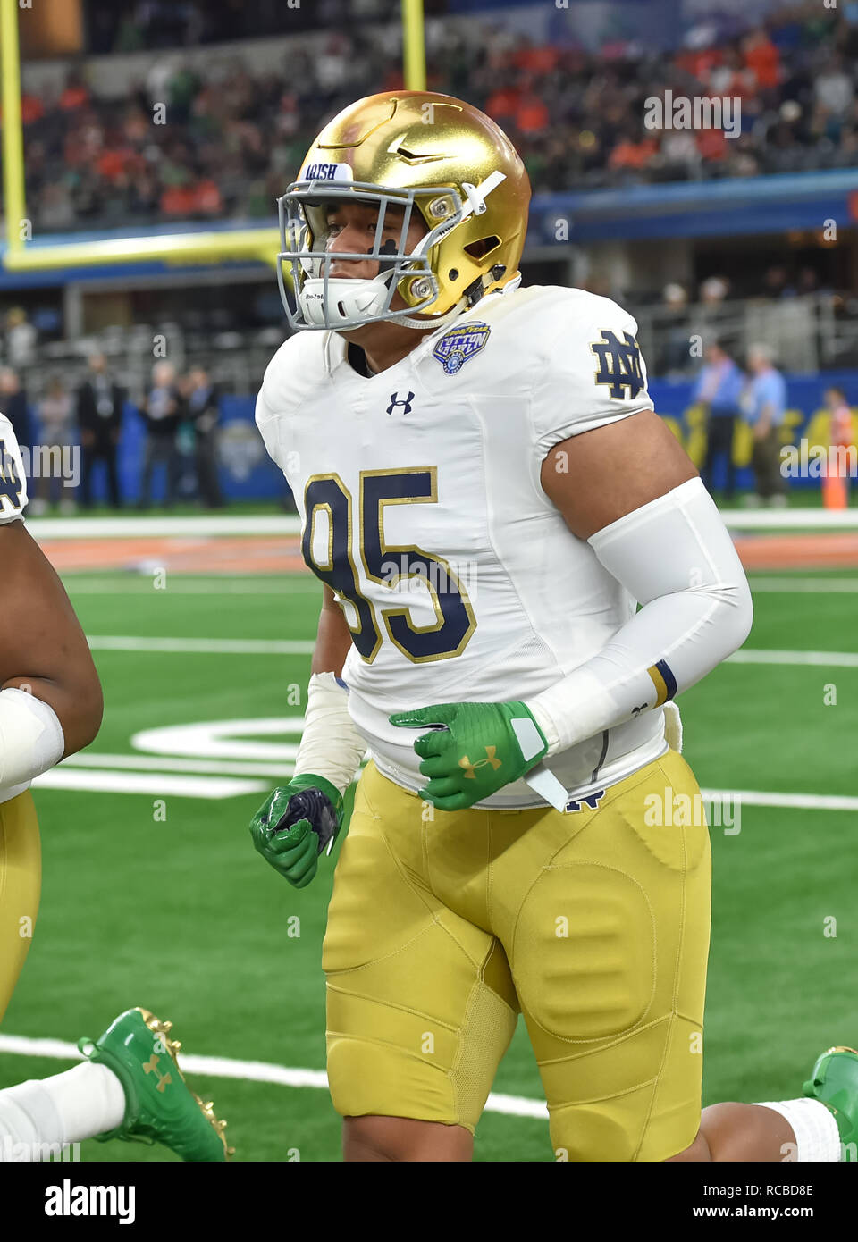 George cotton hi-res stock photography and images - Alamy