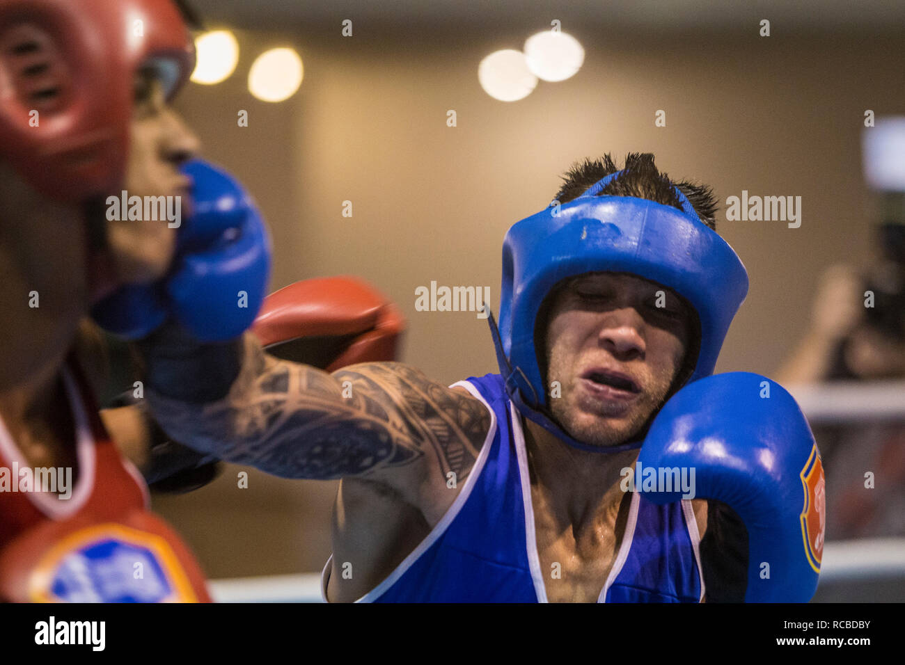 Champions de boxe hi-res stock photography and images - Alamy