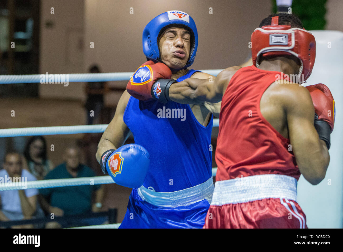 Champions de boxe hi-res stock photography and images - Alamy