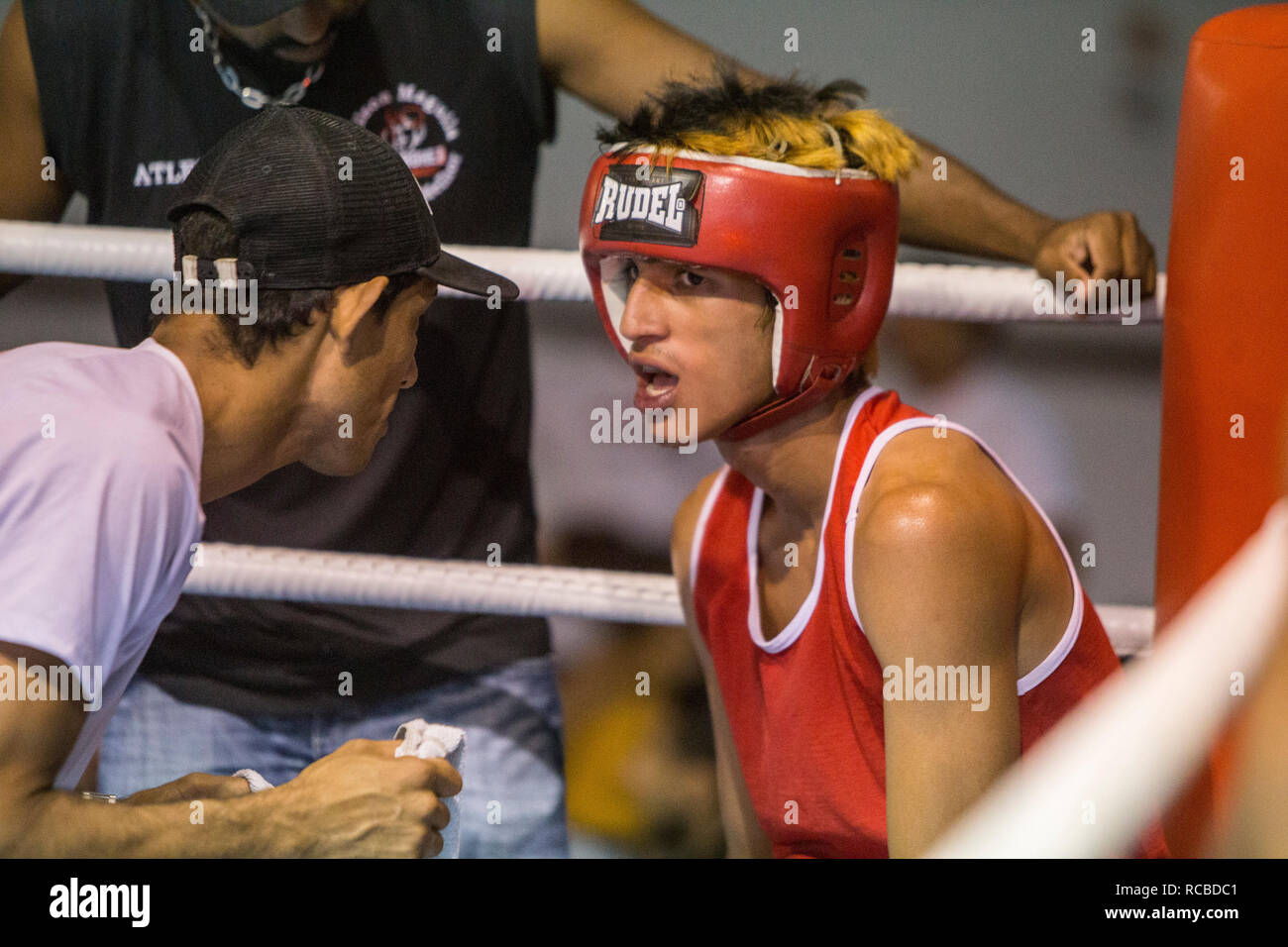 Champions de boxe hi-res stock photography and images - Alamy