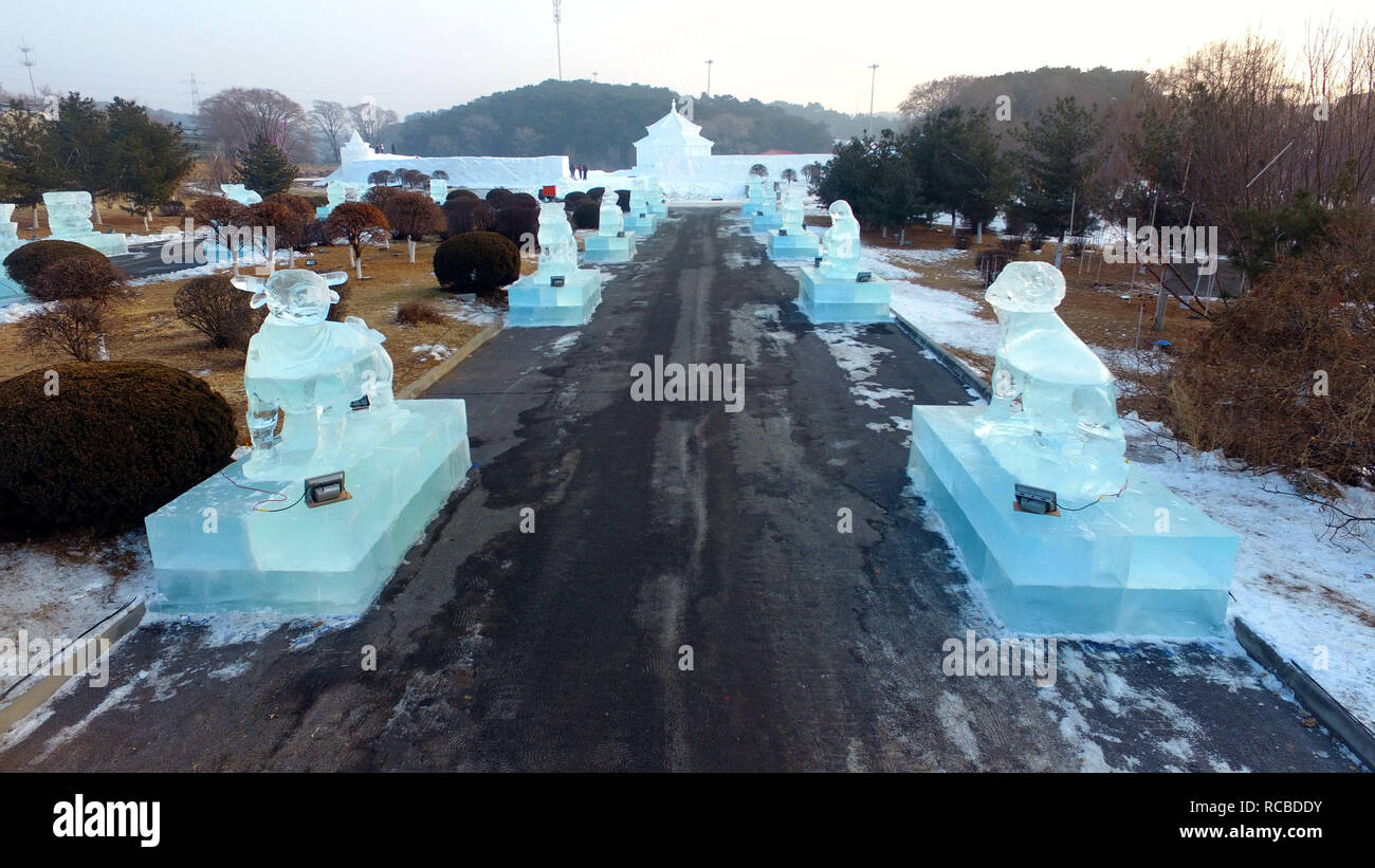 Shenyang, Shenyang, China. 15th Jan, 2019. Shenyang, CHINA-The snow ...