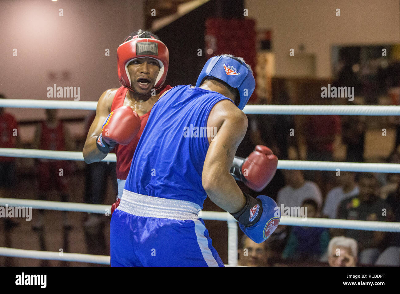 Champions de boxe hi-res stock photography and images - Alamy
