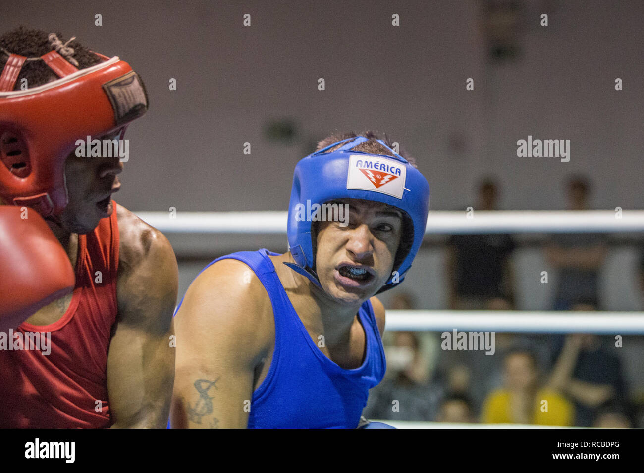 Champions de boxe hi-res stock photography and images - Alamy