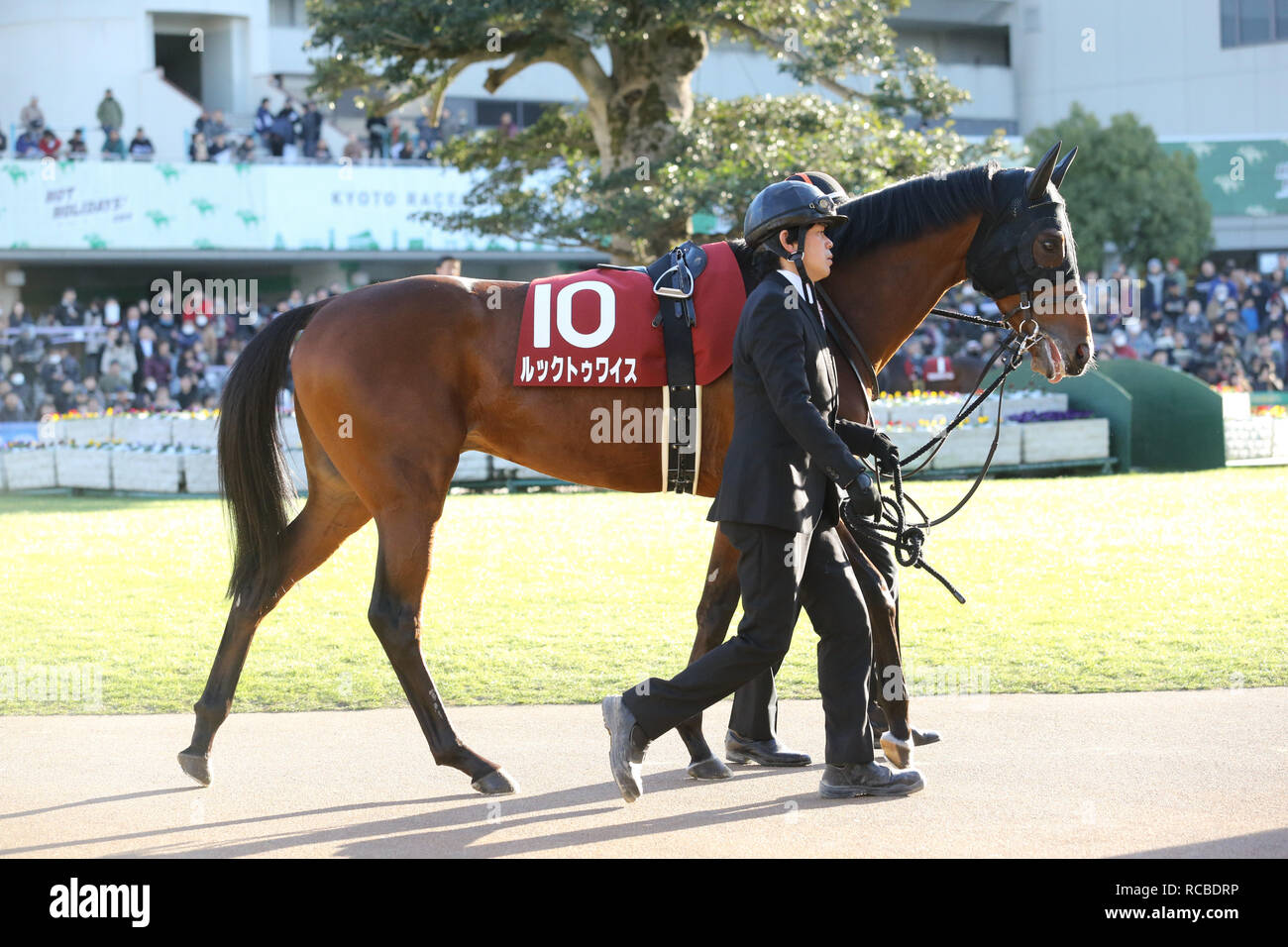 Racing look hi-res stock photography and images - Alamy