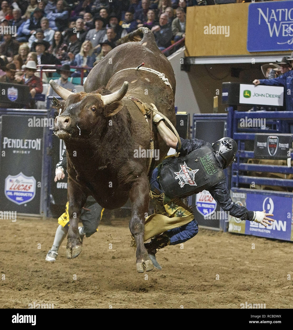 Denver, Colorado, USA. 14th Jan, 2019. Bull Rider JAKE GOWDY of Bristol ...