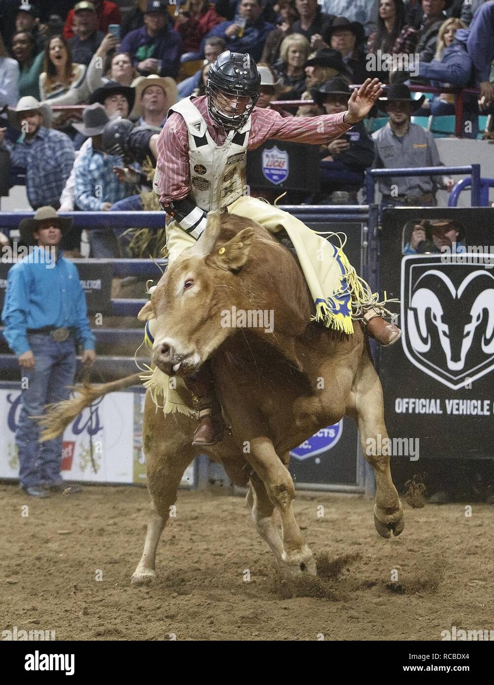 Denver, Colorado, USA. 14th Jan, 2019. Bull Rider DALAN DUNCAN from ...