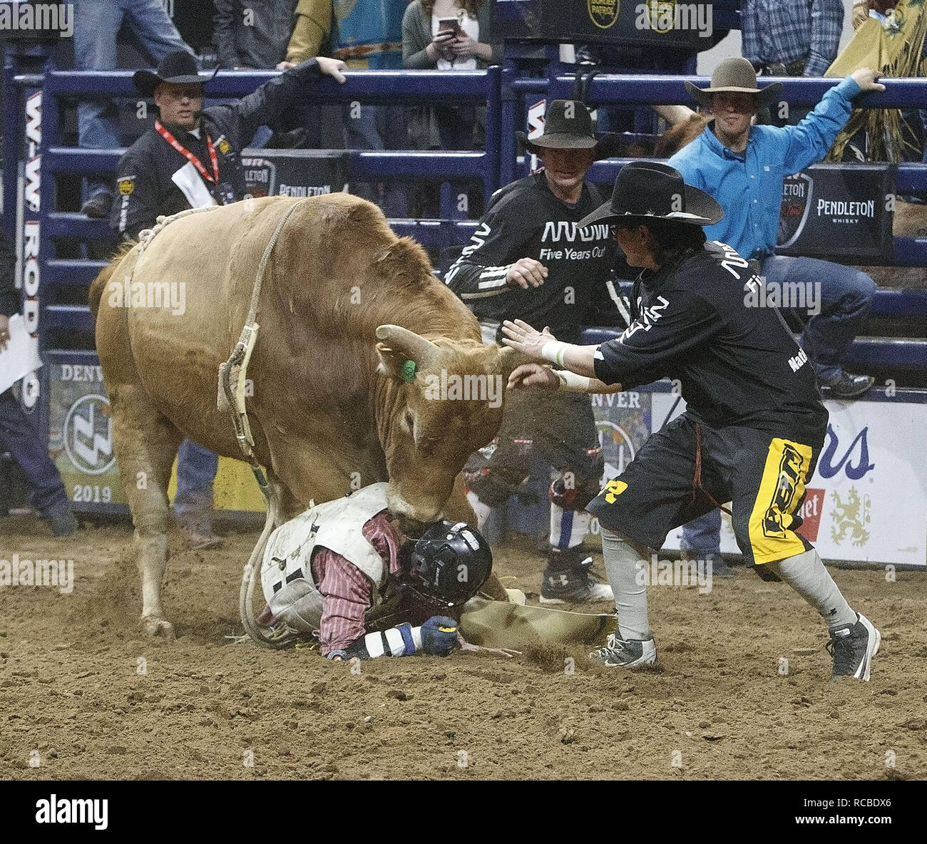 Denver, Colorado, USA. 14th Jan, 2019. Bull Rider DALAN DUNCAN of ...