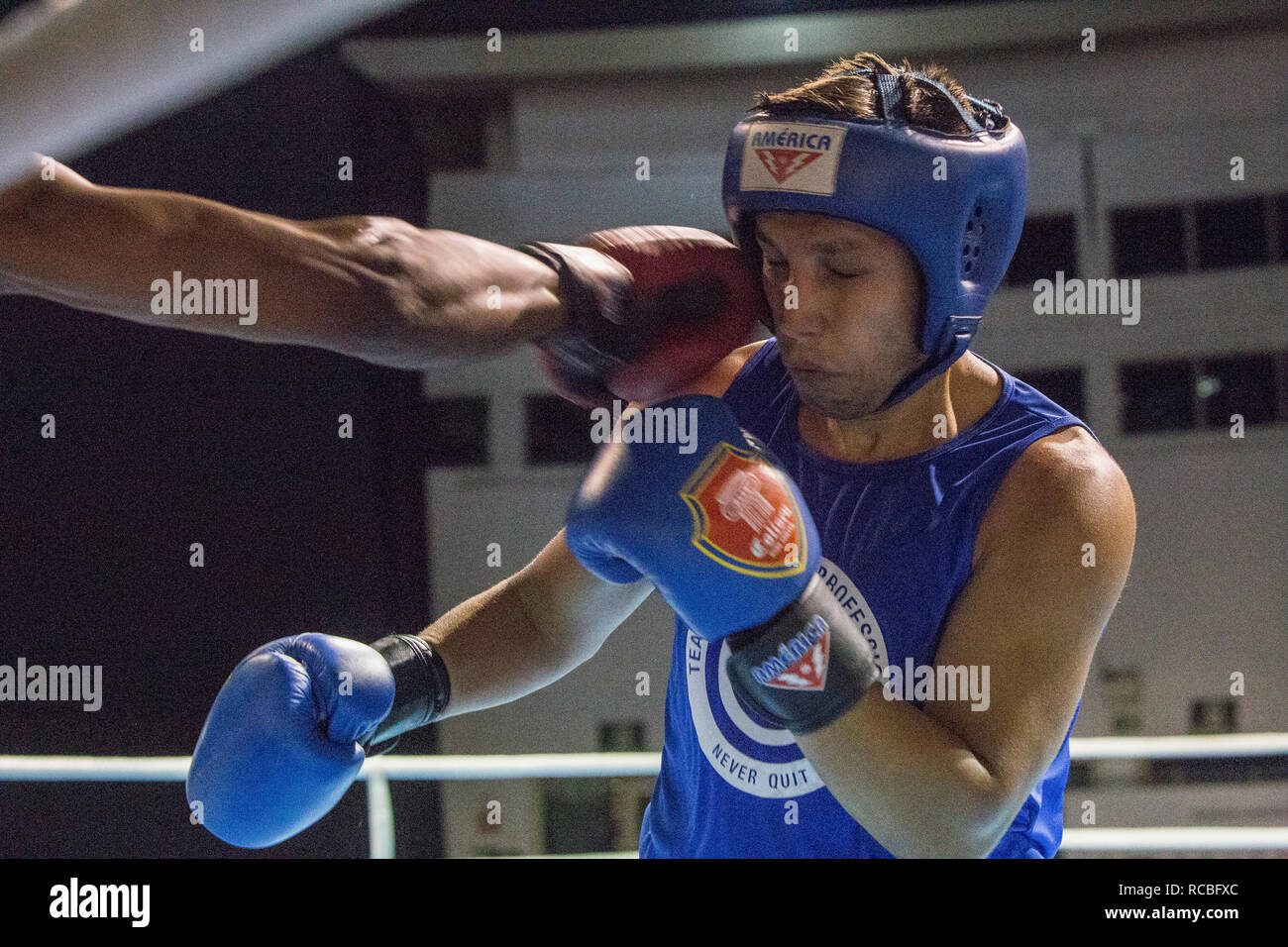 Champions de boxe hi-res stock photography and images - Alamy