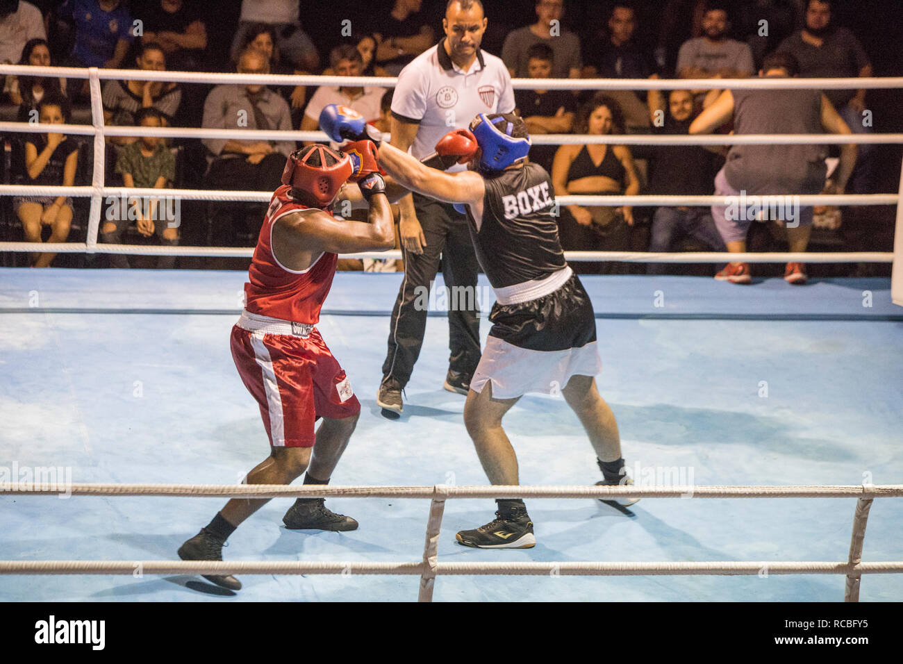 Champions de boxe hi-res stock photography and images - Alamy