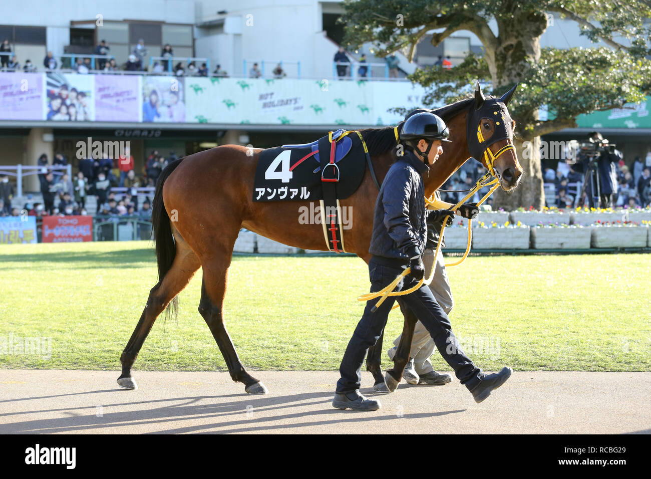 Kyoto, Japan. 14th Jan, 2019. Aonbharr Horse Racing : Aonbharr is led ...