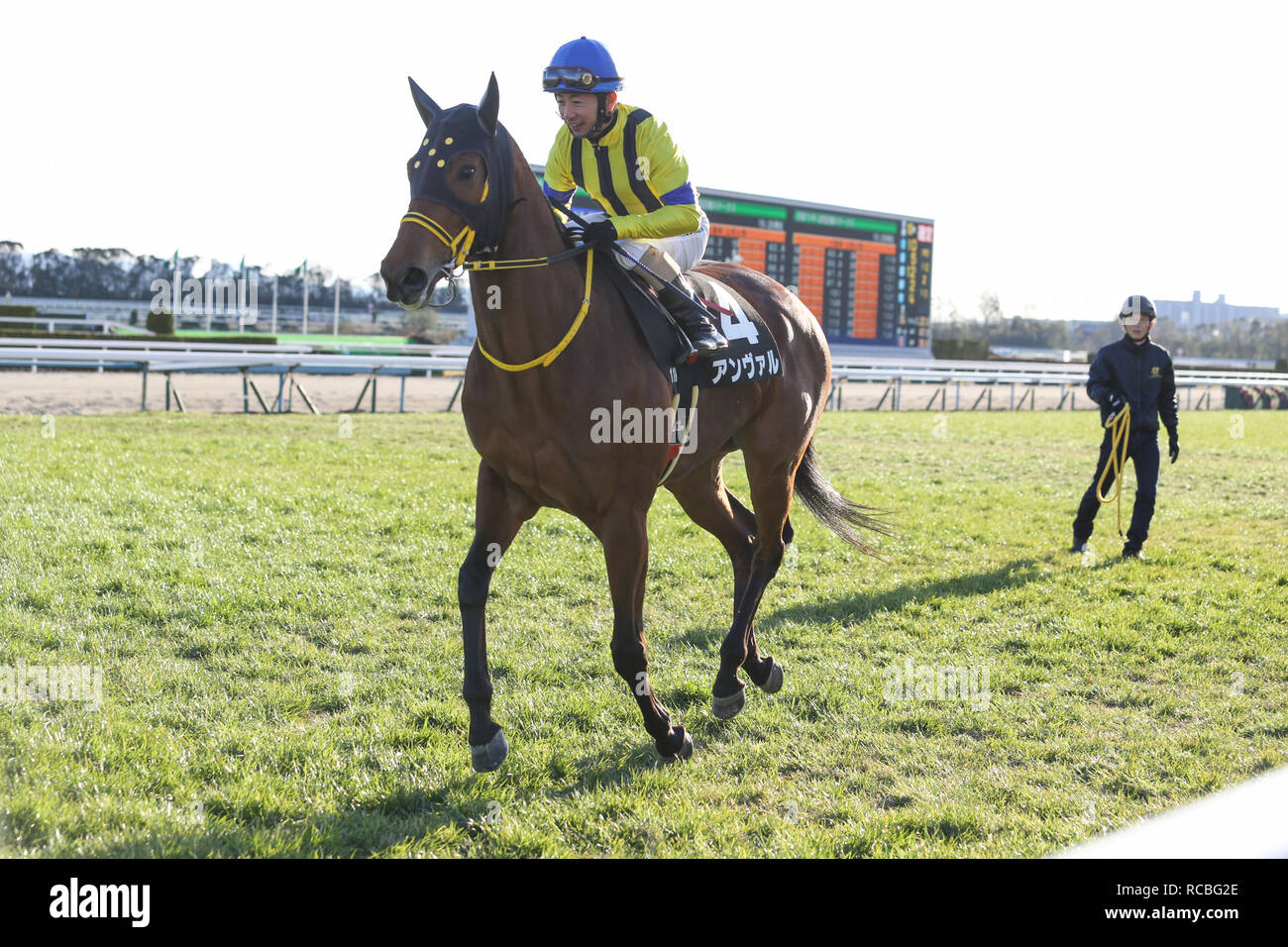 Kyoto, Japan. 14th Jan, 2019. Aonbharr (Manabu Sakai) Horse Racing ...