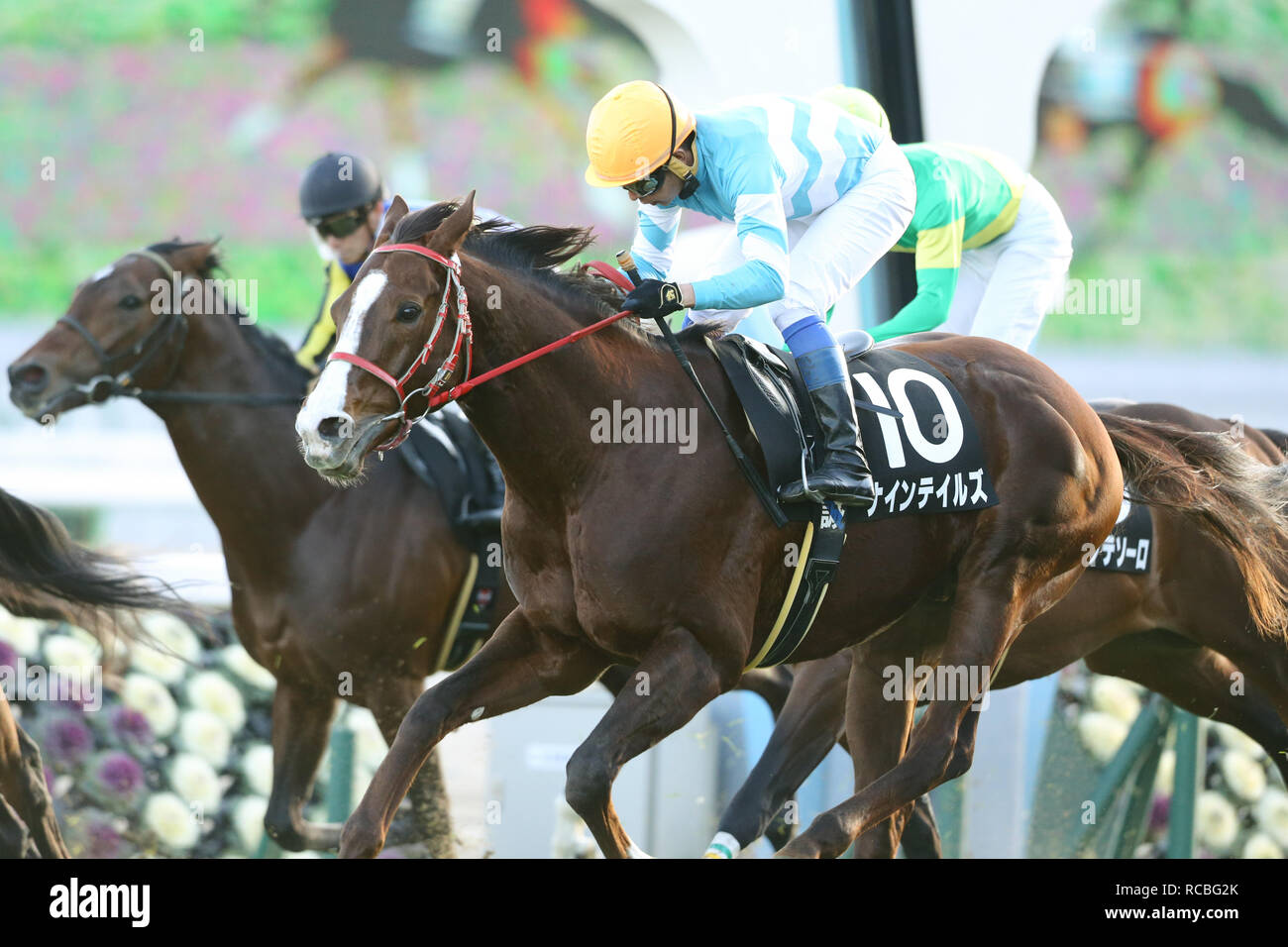 Kyoto, Japan. 14th Jan, 2019. Nine Tails (Yasunari Iwata) Horse Racing ...