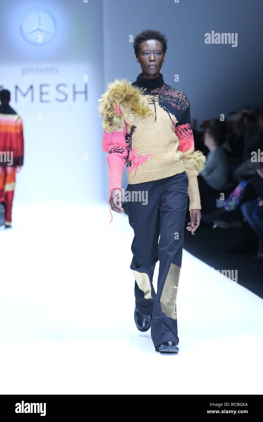 Berlin, Germany, 15 January 2019, Amesh Wijesekera Presented by Merceds ...