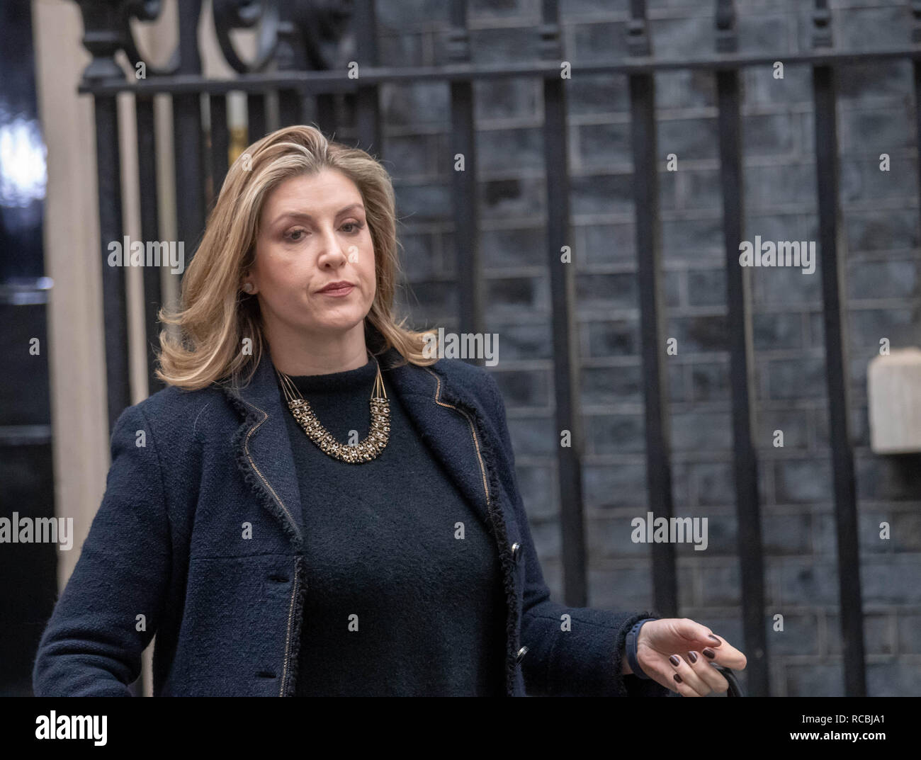London, UK. 15th January 2019, Penny Mordaunt, MP PC, International ...