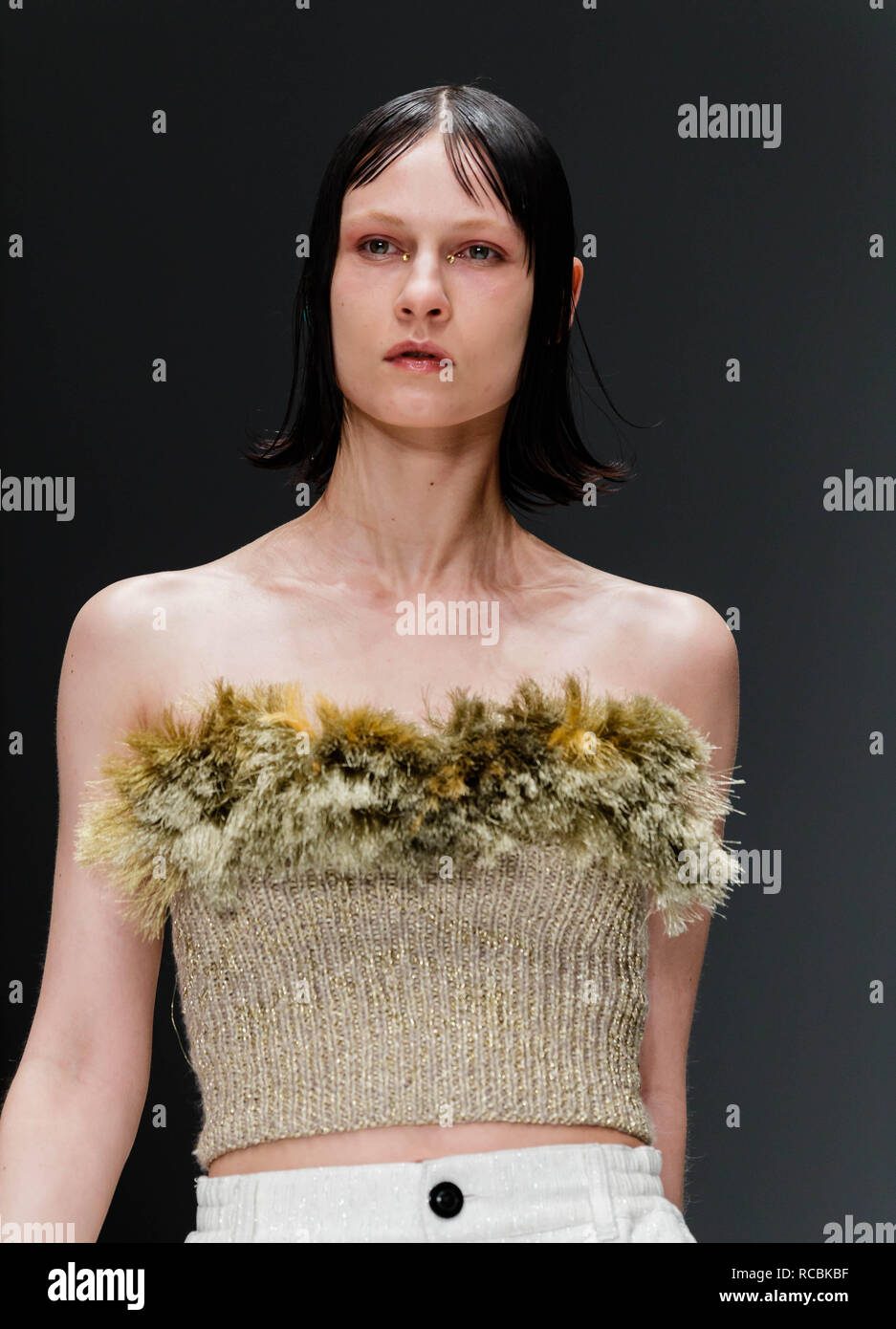 Berlin, Germany. 15th Jan, 2019. A model displays a creation of Sri ...