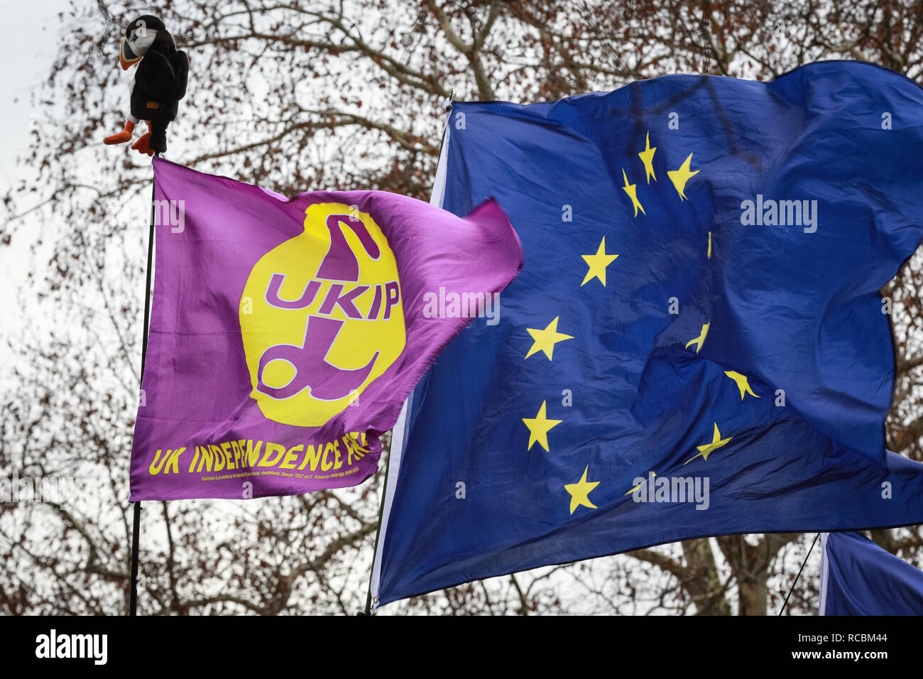 Ukip flag hi-res stock photography and images - Alamy