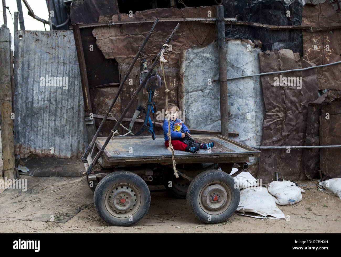 January 14, 2019 - Gaza City, The Gaza Strip, Palestine - A Palestinian ...