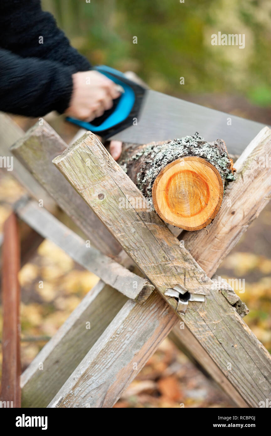 Sawing Log High Resolution Stock Photography and Images - Alamy