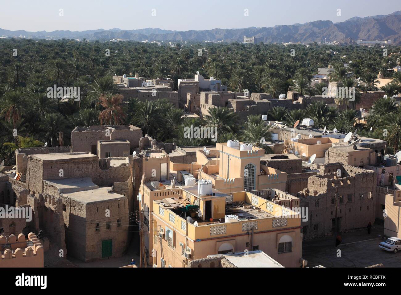 View of the oasis city of Nizwa, with its palm gardens, Oman, Arabian ...