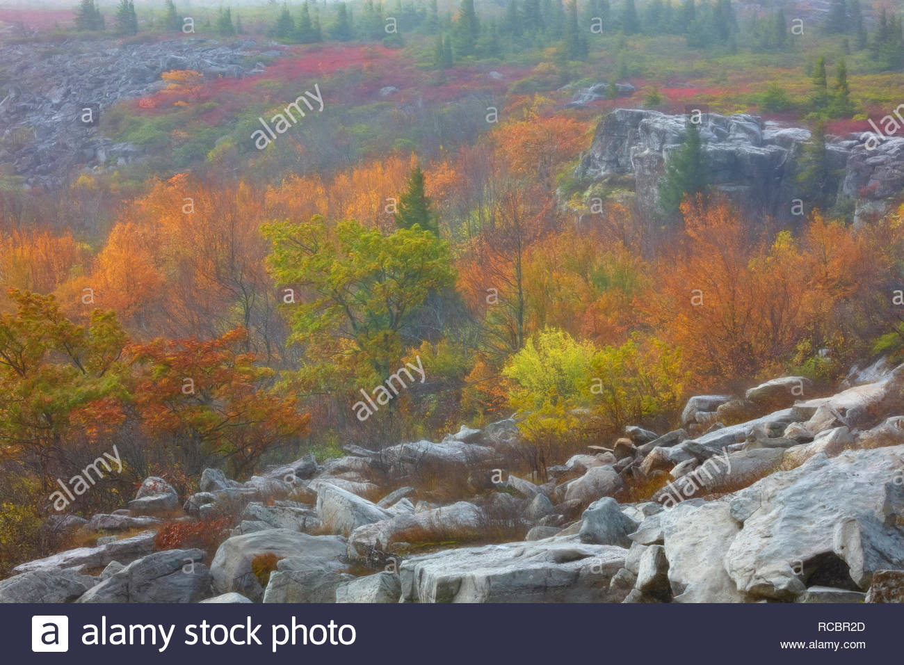Monongahela National Forest High Resolution Stock Photography and ...
