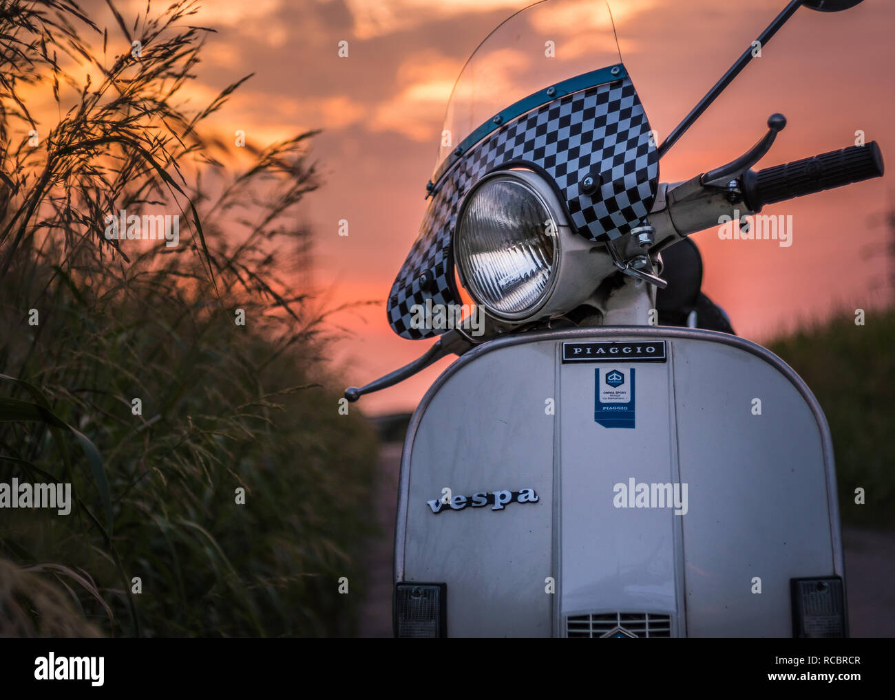 vespa piaggio 50 cc special 125 px white parking sunset in nature Stock ...