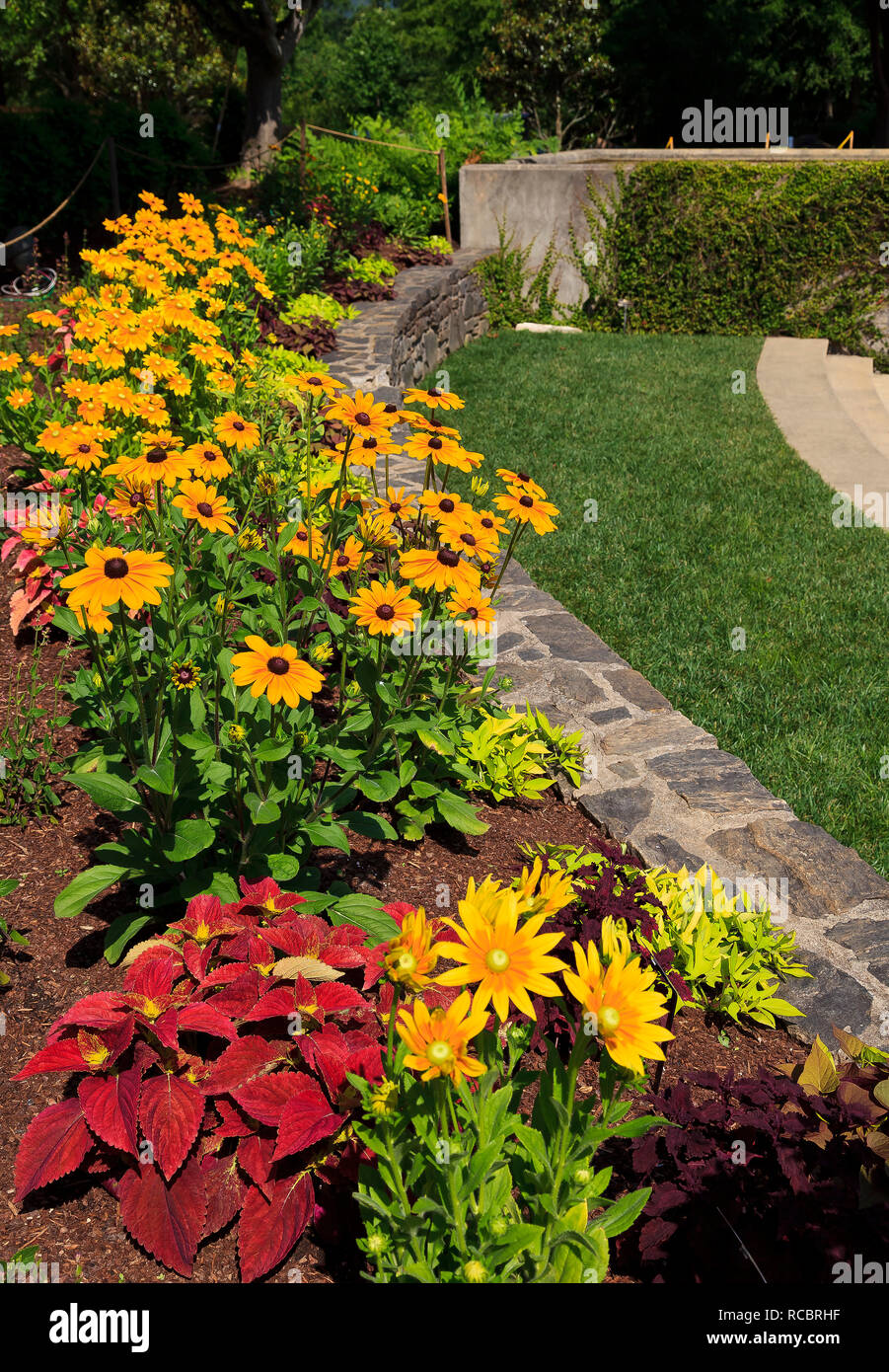 Colorful flower bed hi-res stock photography and images - Alamy