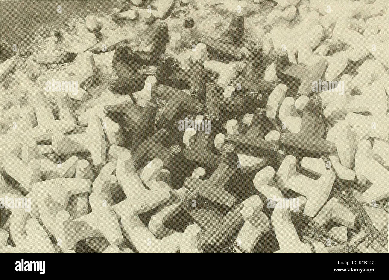 . Dolos design procedure based on Crescent City prototype data ...