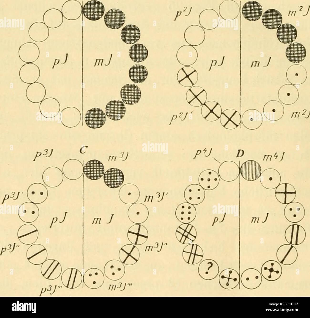 Zwei historische figuren hi-res stock photography and images - Alamy