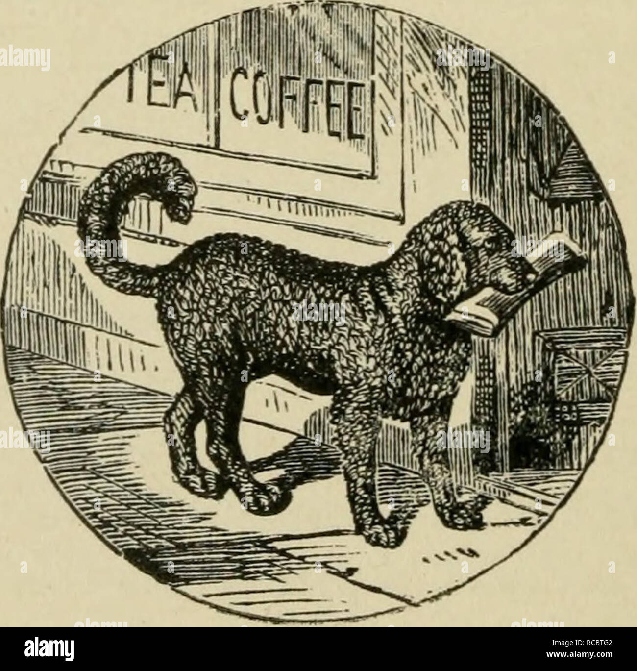 Dog destroys bed hi-res stock photography and images - Alamy