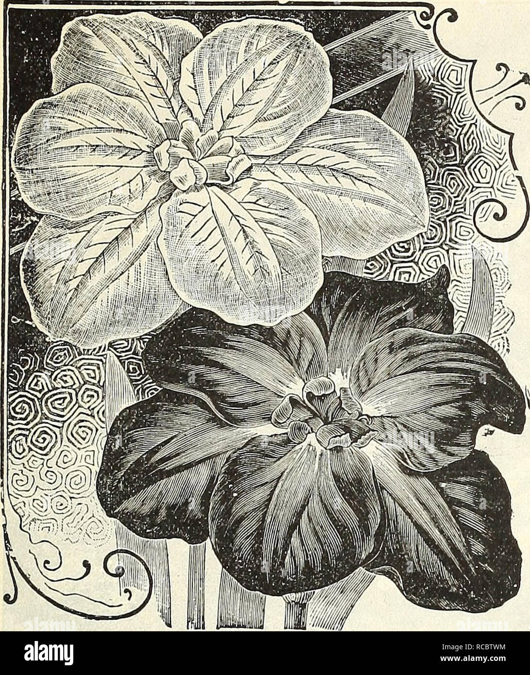 Sora sky bar hi-res stock photography and images - Alamy